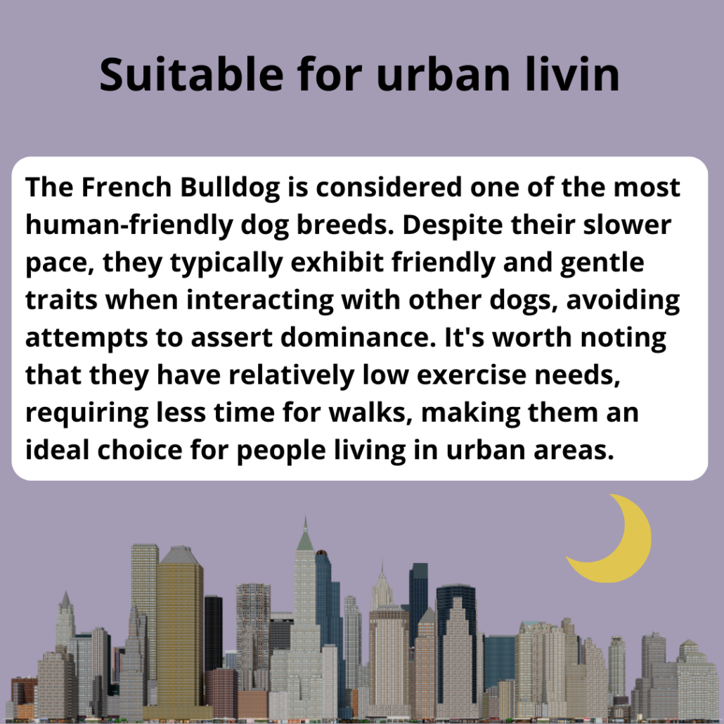 Frenchie Bulldogs 4 Key Traits – Global Instrumentation Corp.